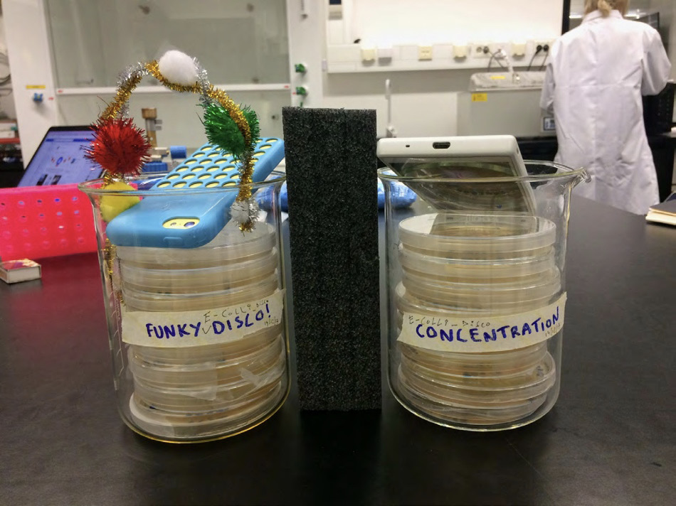 Toevallige ontmoetingen - 11. Ziekten, stoornissen, handicaps en normen